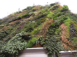 L'Oasis d'Aboukir, Paris | Vertical Garden Patrick Blanc