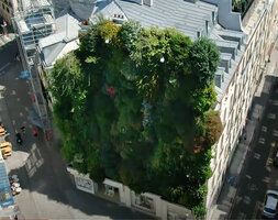 L'Oasis d'Aboukir, Paris | Vertical Garden Patrick Blanc