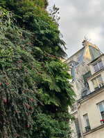 L'Oasis d'Aboukir, Paris | Vertical Garden Patrick Blanc