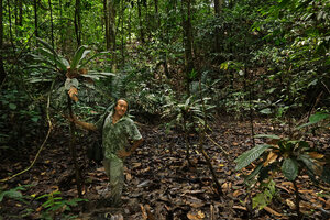 Patrick Blanc in a swampy lowground in forest understory among ...