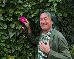 | Vertical Garden Patrick Blanc