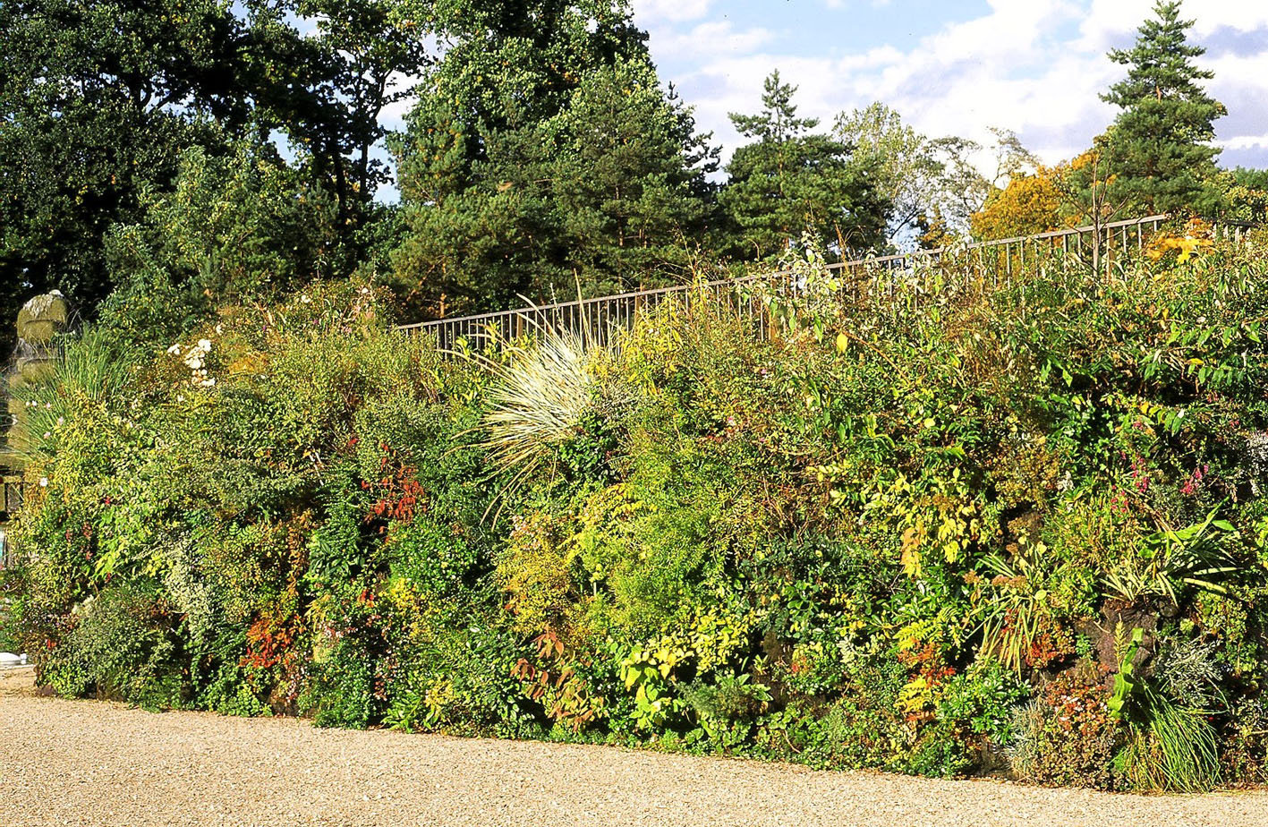 Parc floral | Vertical Garden Patrick Blanc