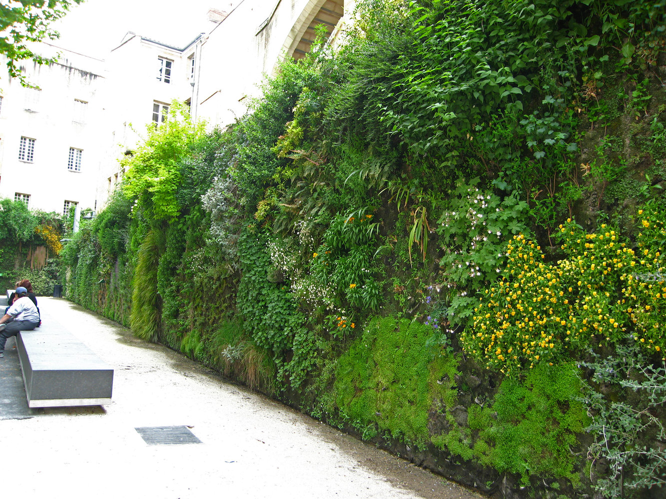 Square Vinet | Vertical Garden Patrick Blanc