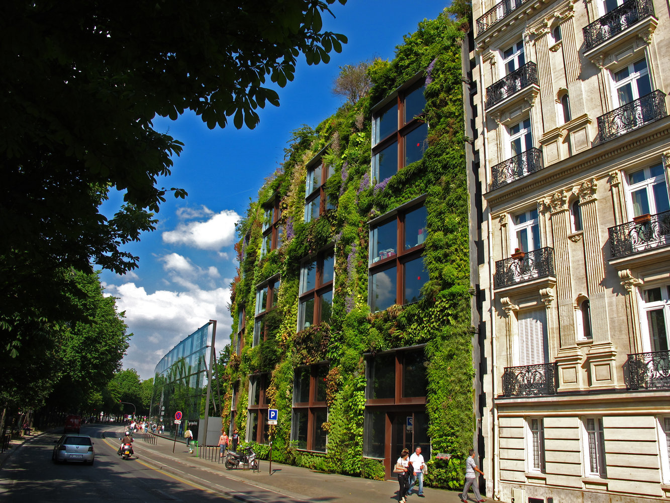 Quai Branly Jacques Chirac Museum | Vertical Garden Patrick Blanc