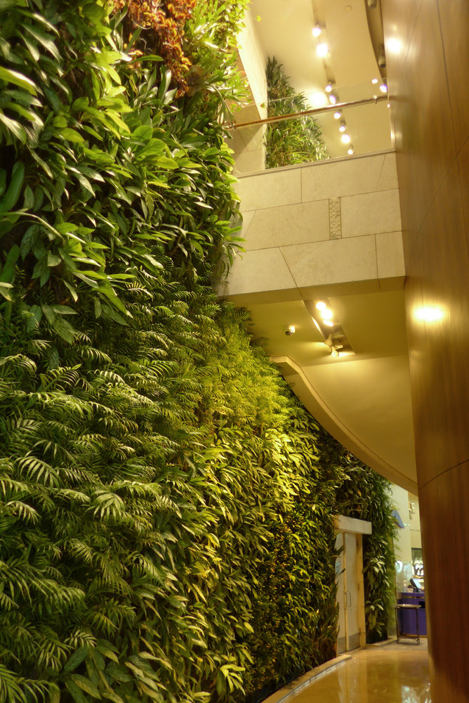 360 Mall, Kuwait | Vertical Garden Patrick Blanc