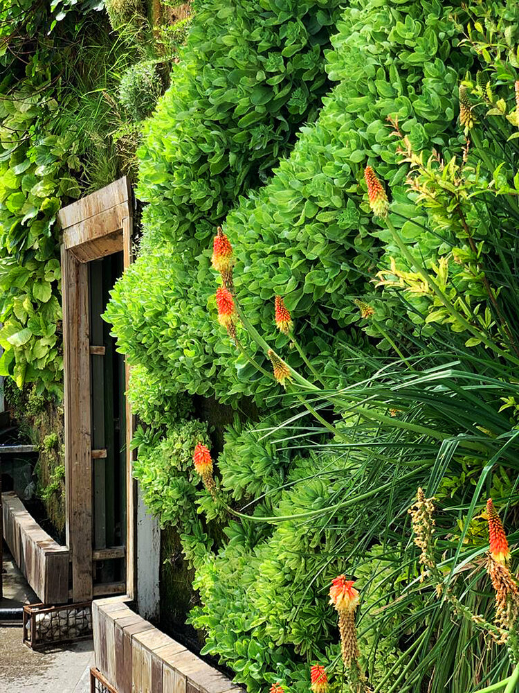 Atlas Mall | Vertical Garden Patrick Blanc