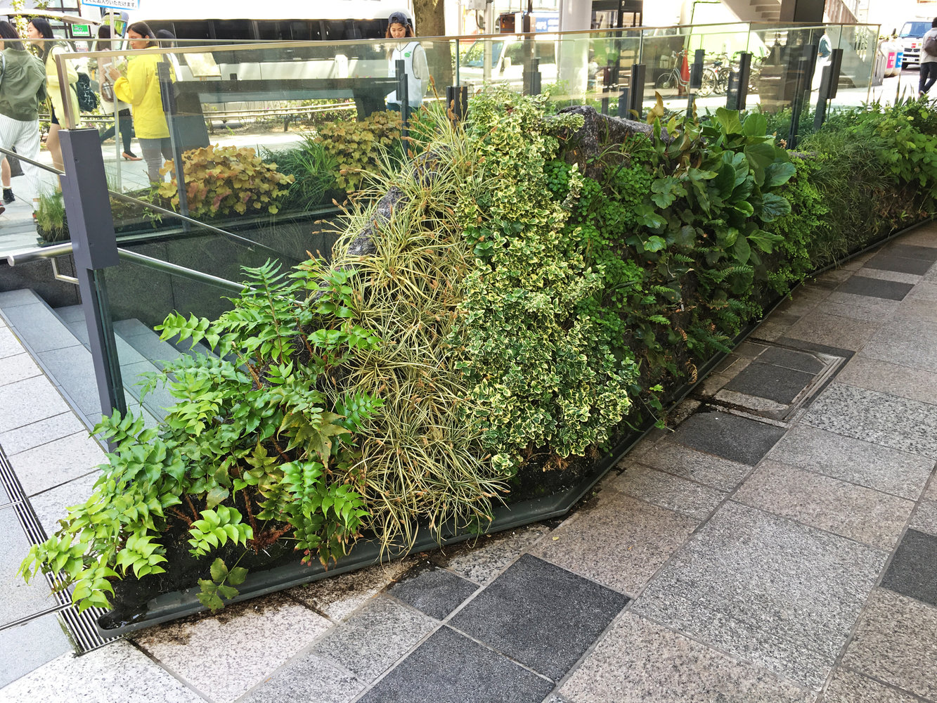 Tokyo Gyre | Vertical Garden Patrick Blanc