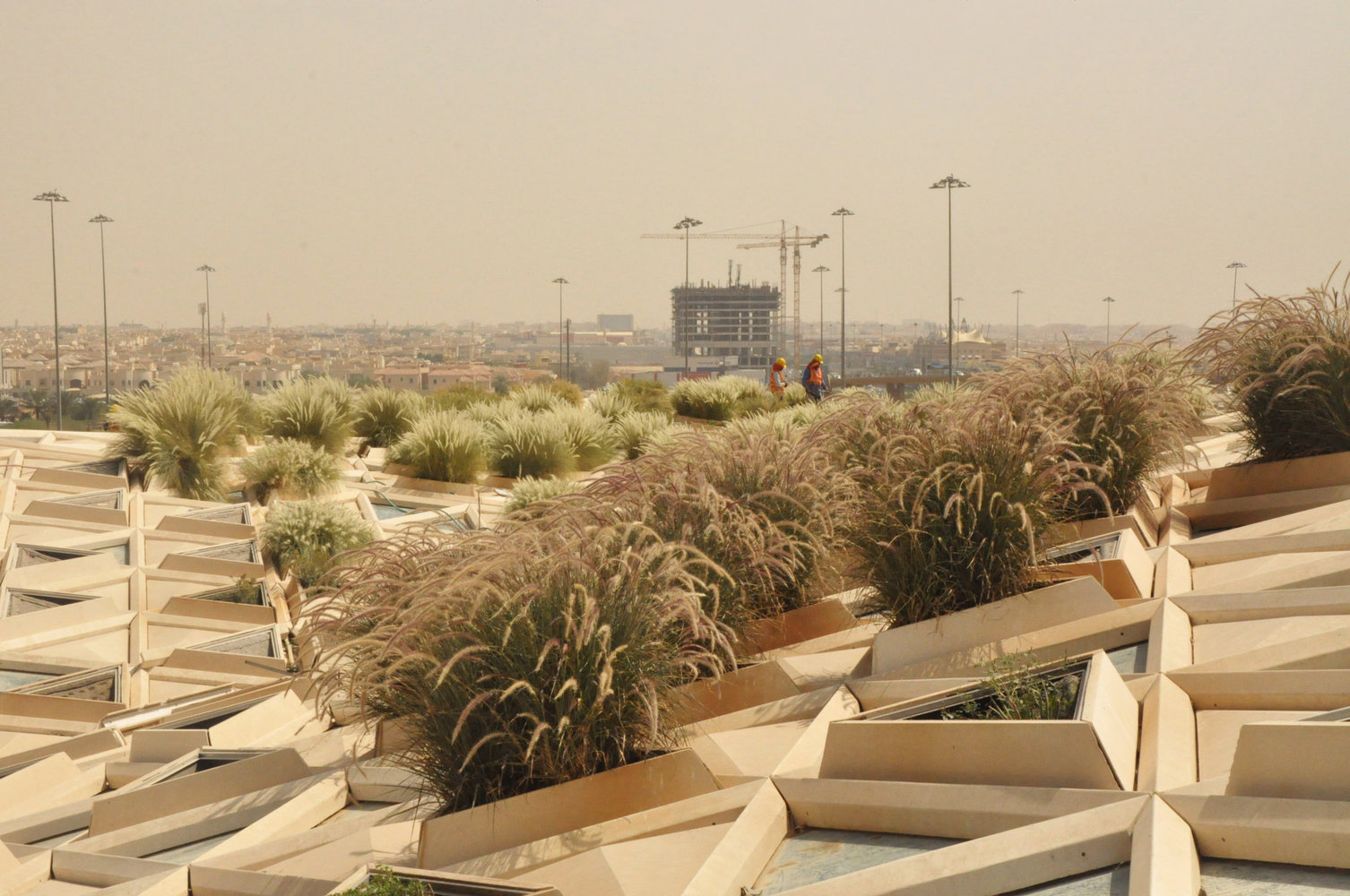 KAFD Conference Center Mega Roof, Riyadh | Vertical Garden Patrick Blanc
