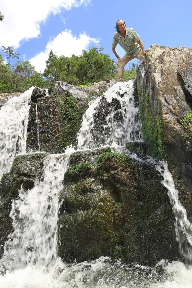 Aquatics and Rheophytes 2 | Page 3 | Vertical Garden Patrick Blanc