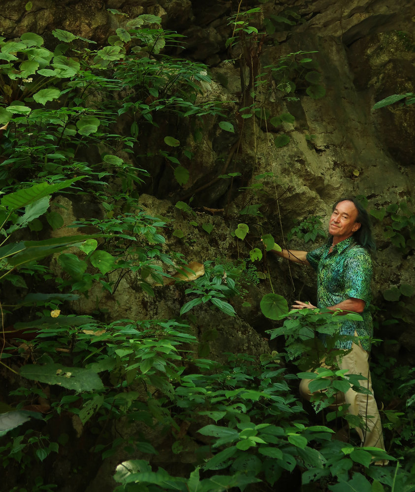 Begonias | Page 12 | Vertical Garden Patrick Blanc