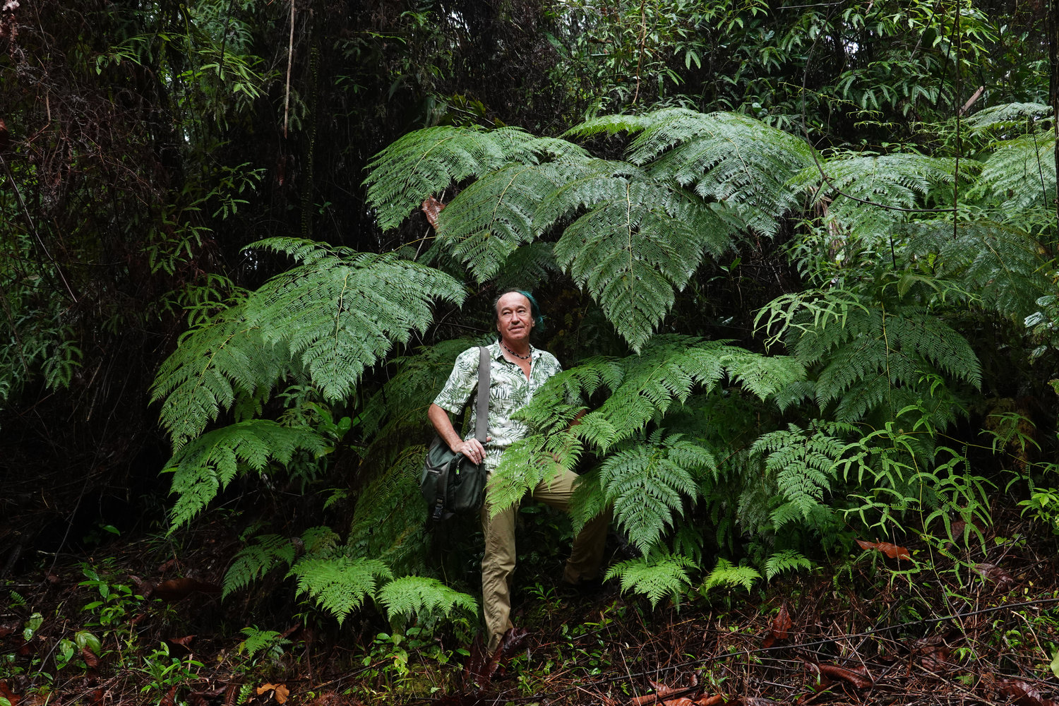 Patrick Blanc among the fronds of Calochlaena straminea, Kolombangara ...
