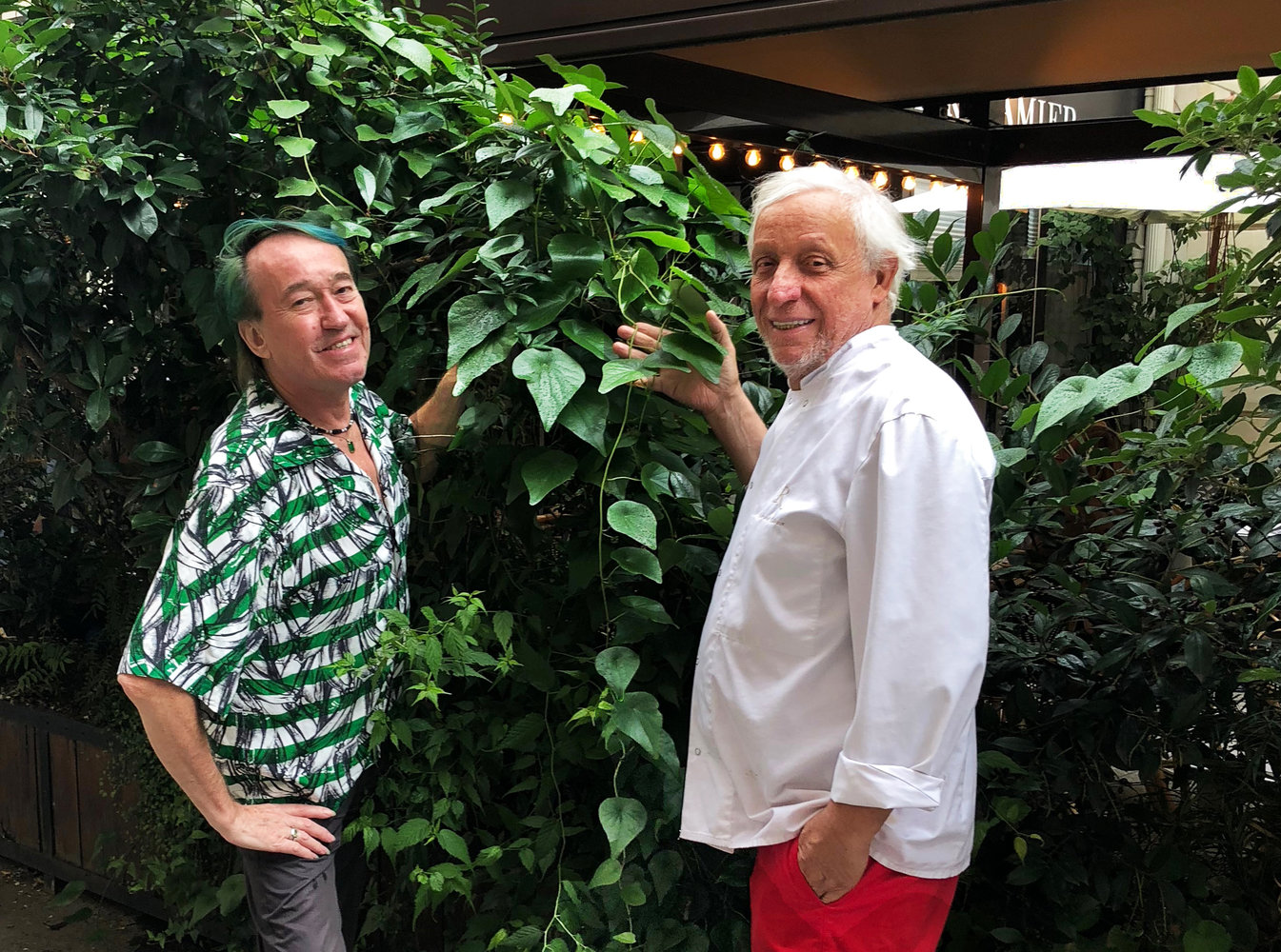Patrick Blanc and Gerard Idoux among the beautiful heart shaped leaves ...