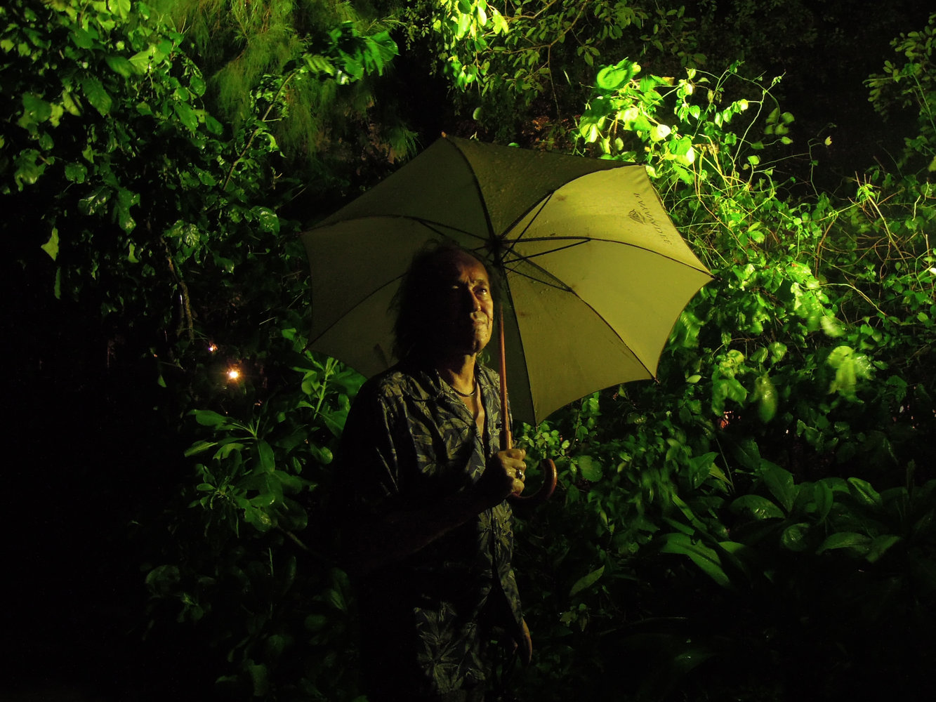 Patrick Blanc at the base of a limestone cliff at night, Krabi ...