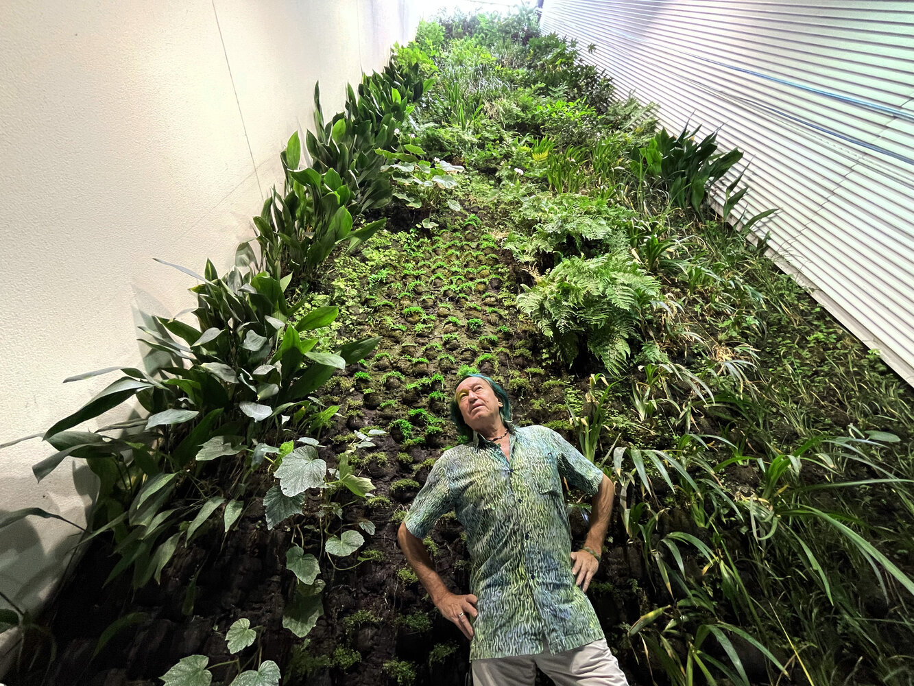 Art House Istanbul | Vertical Garden Patrick Blanc