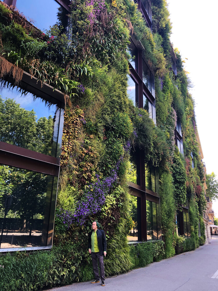 | Vertical Garden Patrick Blanc