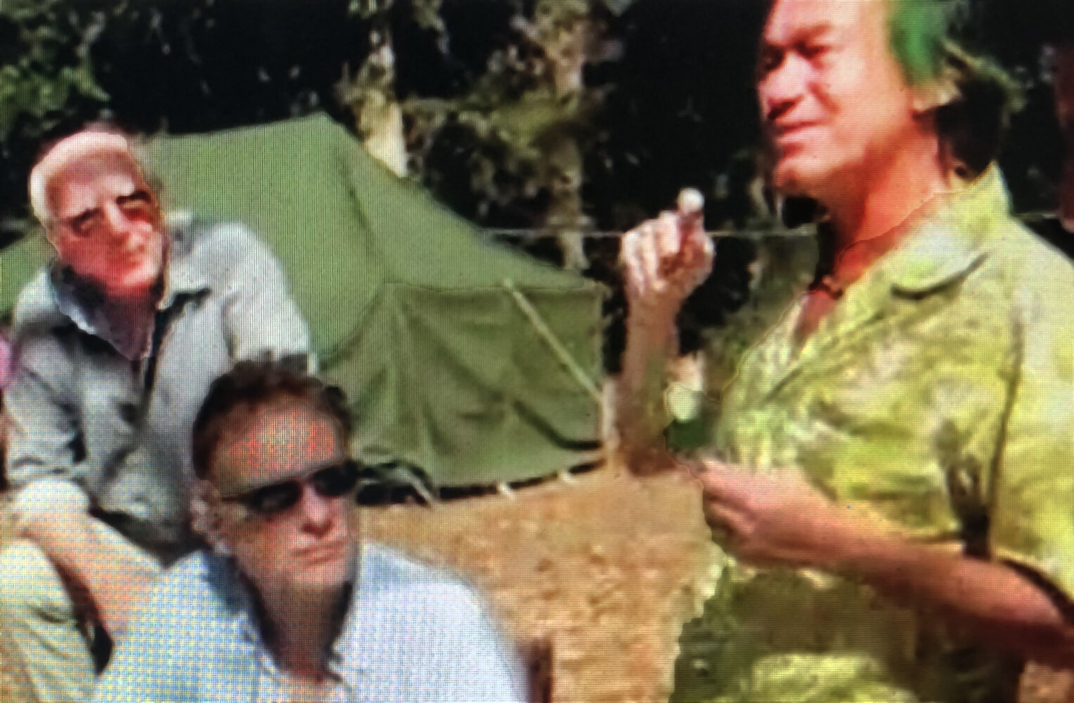 Patrick Blanc discussing with Francis Hallé and Gilles Ebersolt about ...