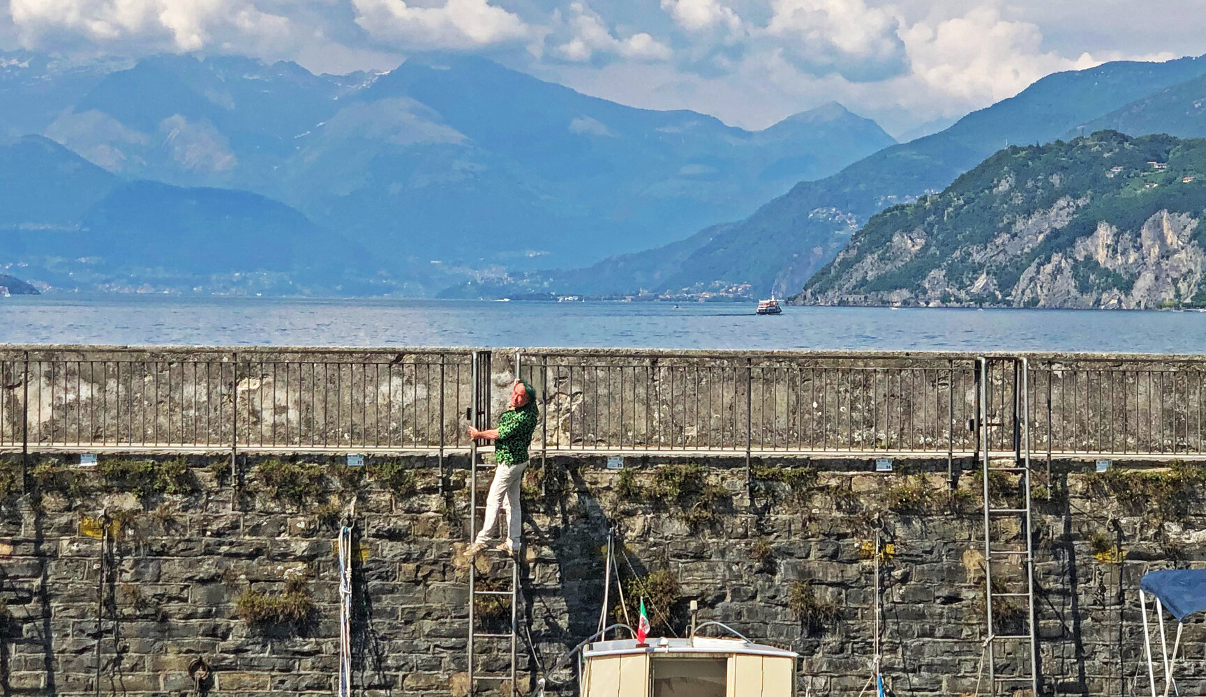 Patrick Blanc going down a ladder to observe the naturalized Erigeron ...