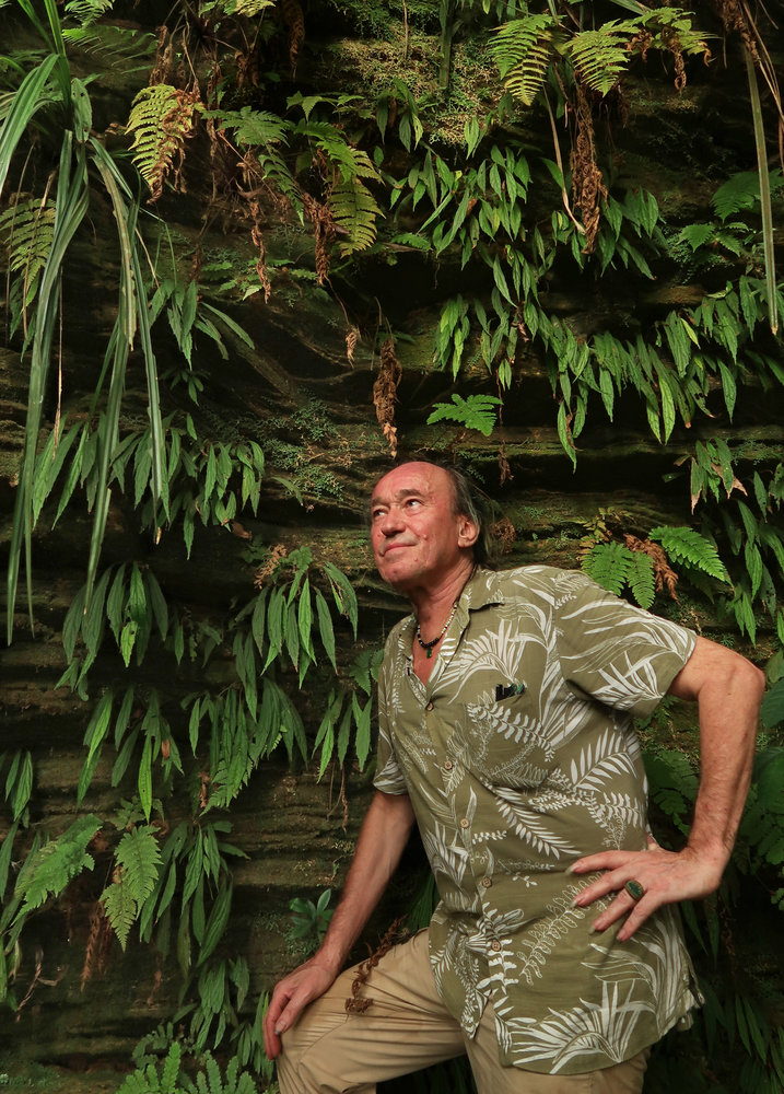 | Vertical Garden Patrick Blanc