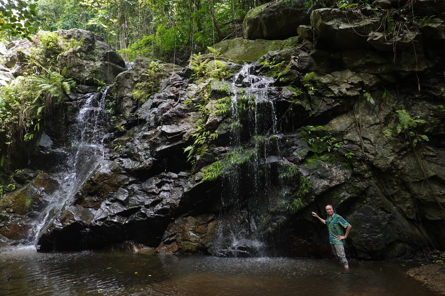 Patrick Blanc in front of the waterfall partly covered by Hydrostachys ...