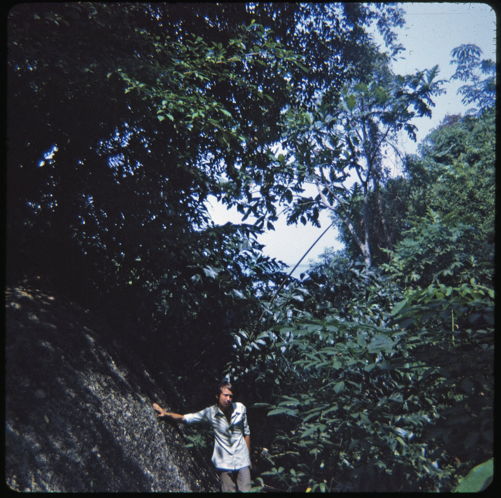 Patrick Blanc in Khao Yai National Park, Thailand, 1972 | Vertical ...