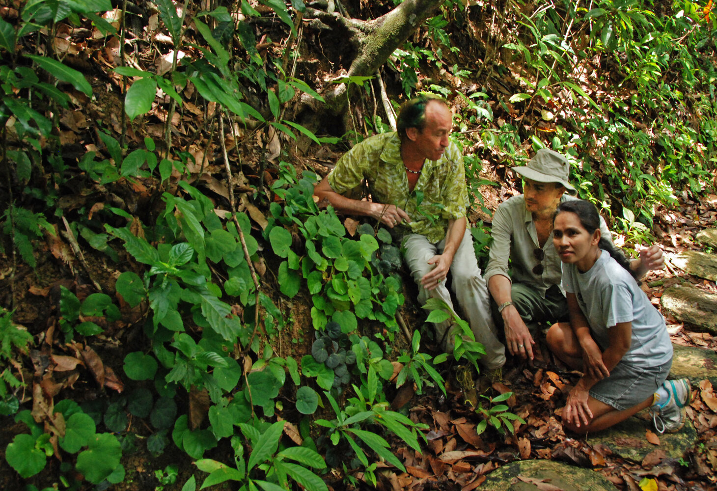 Patrick Blanc, Mark Hughes and Rosario Rubite discussing about Begonia ...