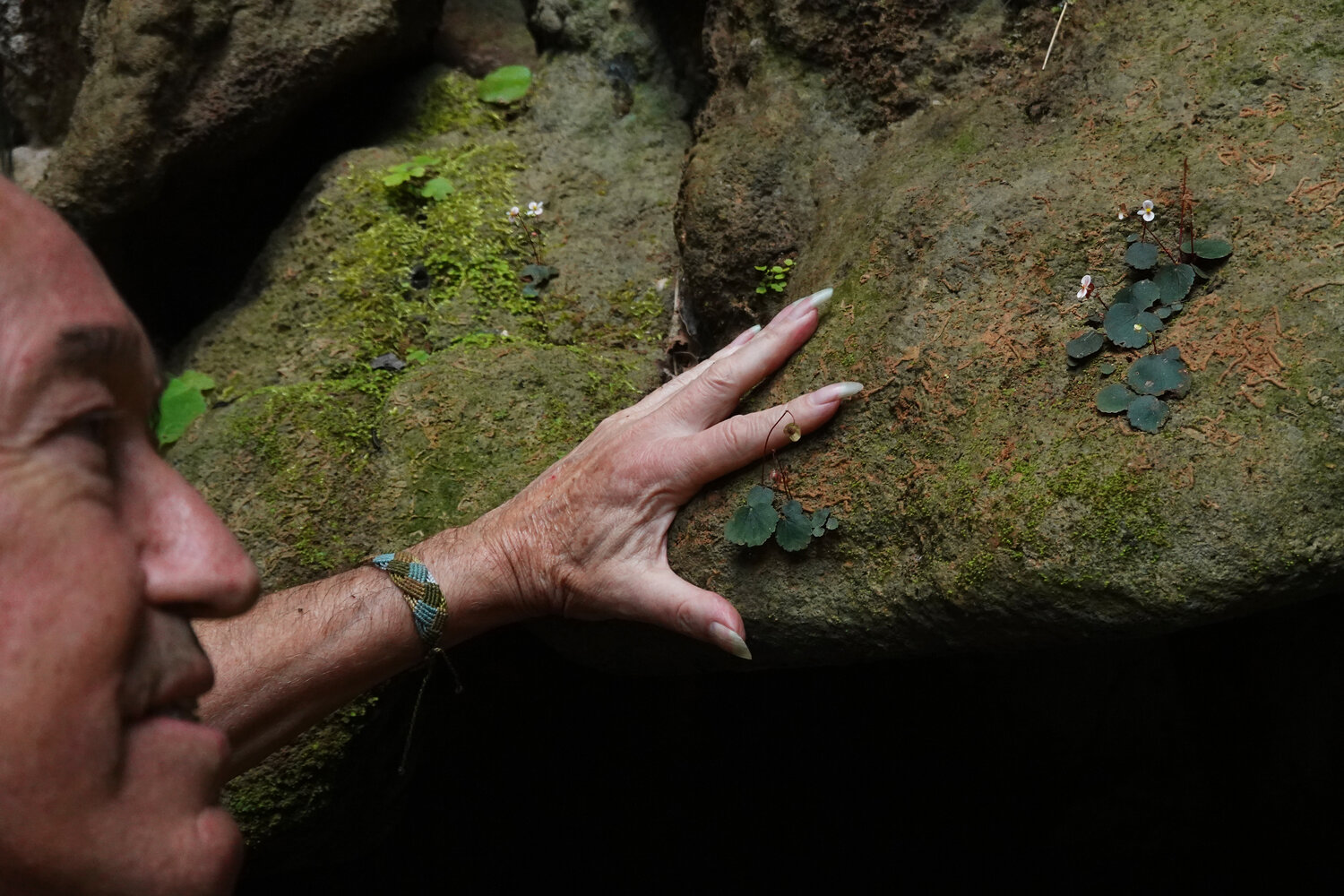 | Vertical Garden Patrick Blanc