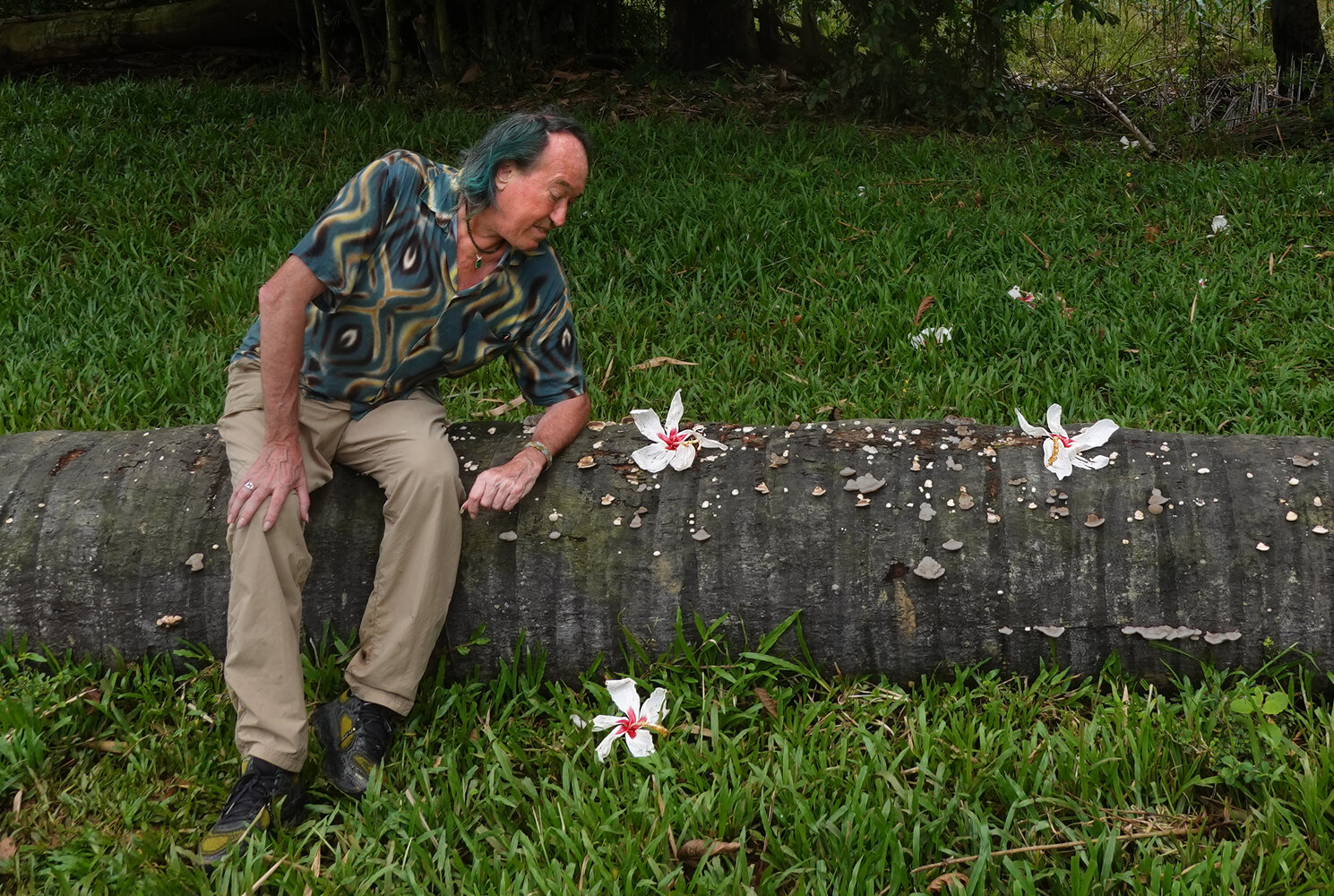 Patrick Blanc sitting on the dead stipe of the monocarpic palm Corypha ...