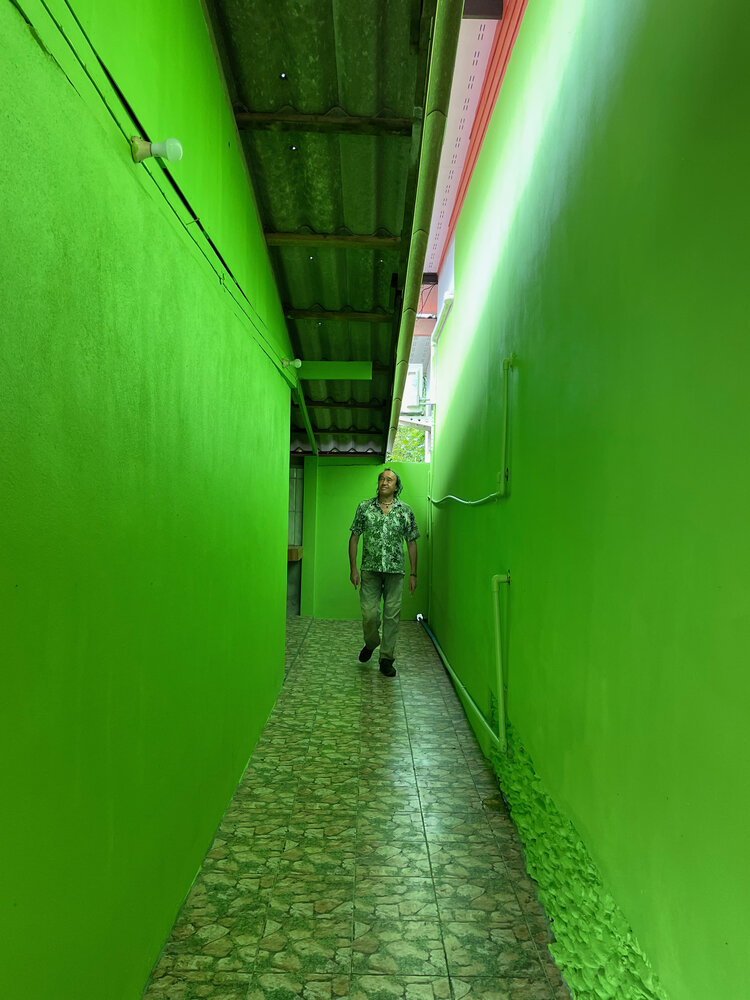 Patrick Blanc walking in a green corridor, Phang Nga, Thailand, March ...