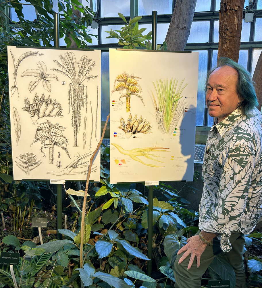 Patrick Blanc with Ravenala blancii ink drawings and watercolor ...