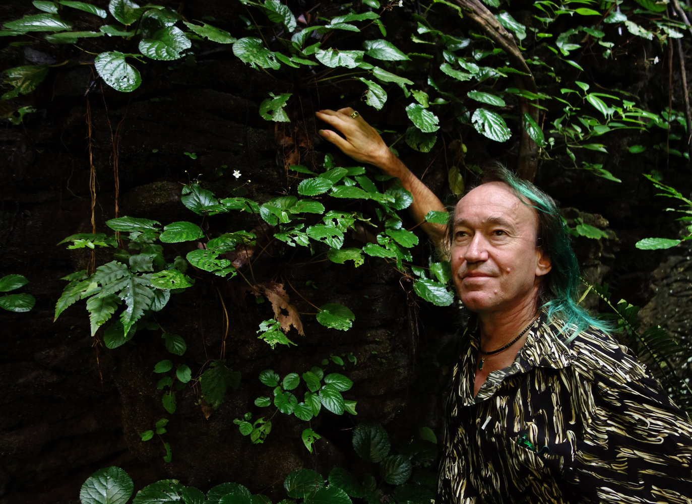 Patrick Blanc among the shiny leaves and a small white flower of the ...