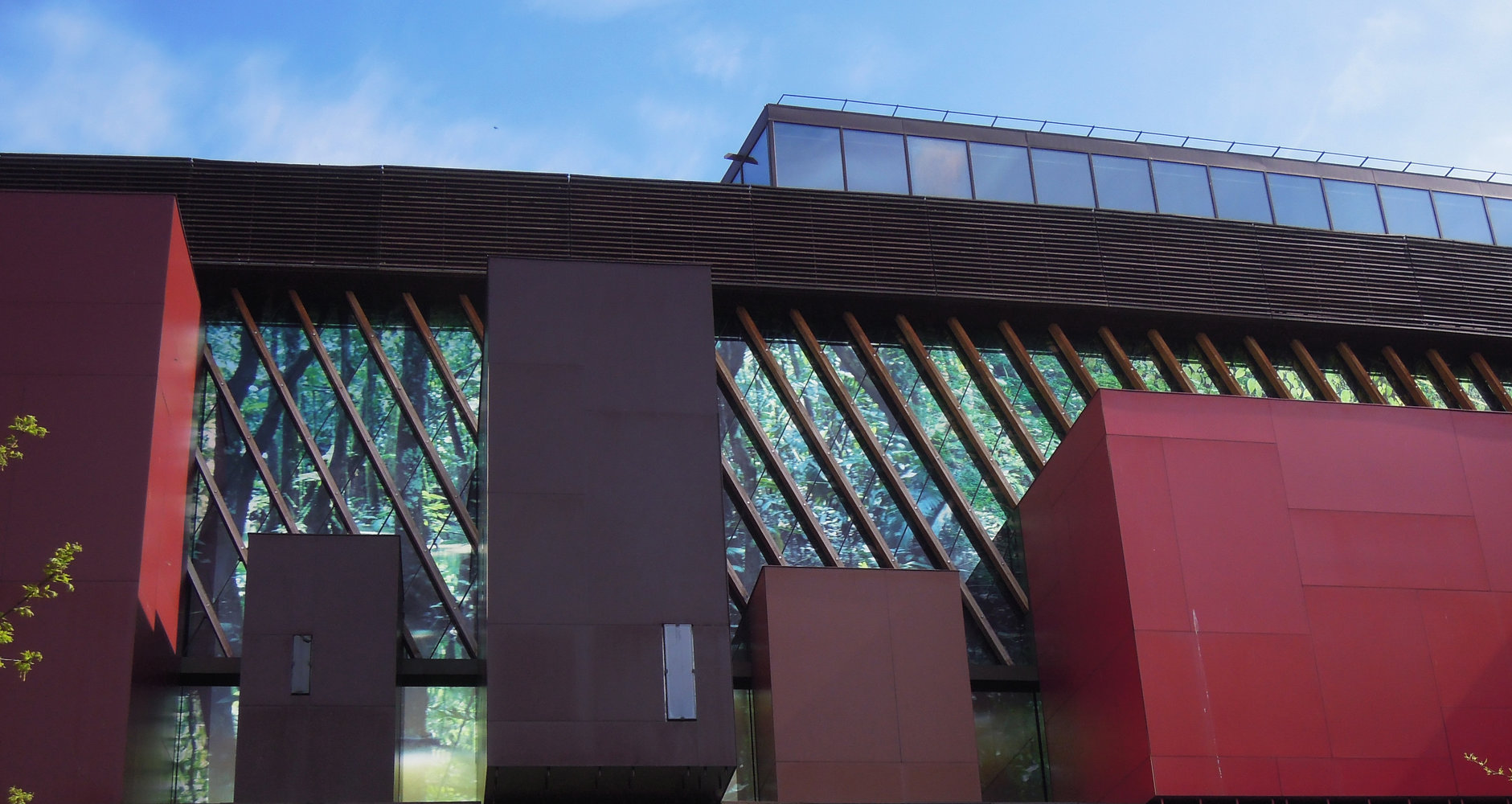 Quai Branly Jacques Chirac Museum | Page 2 | Vertical Garden Patrick Blanc